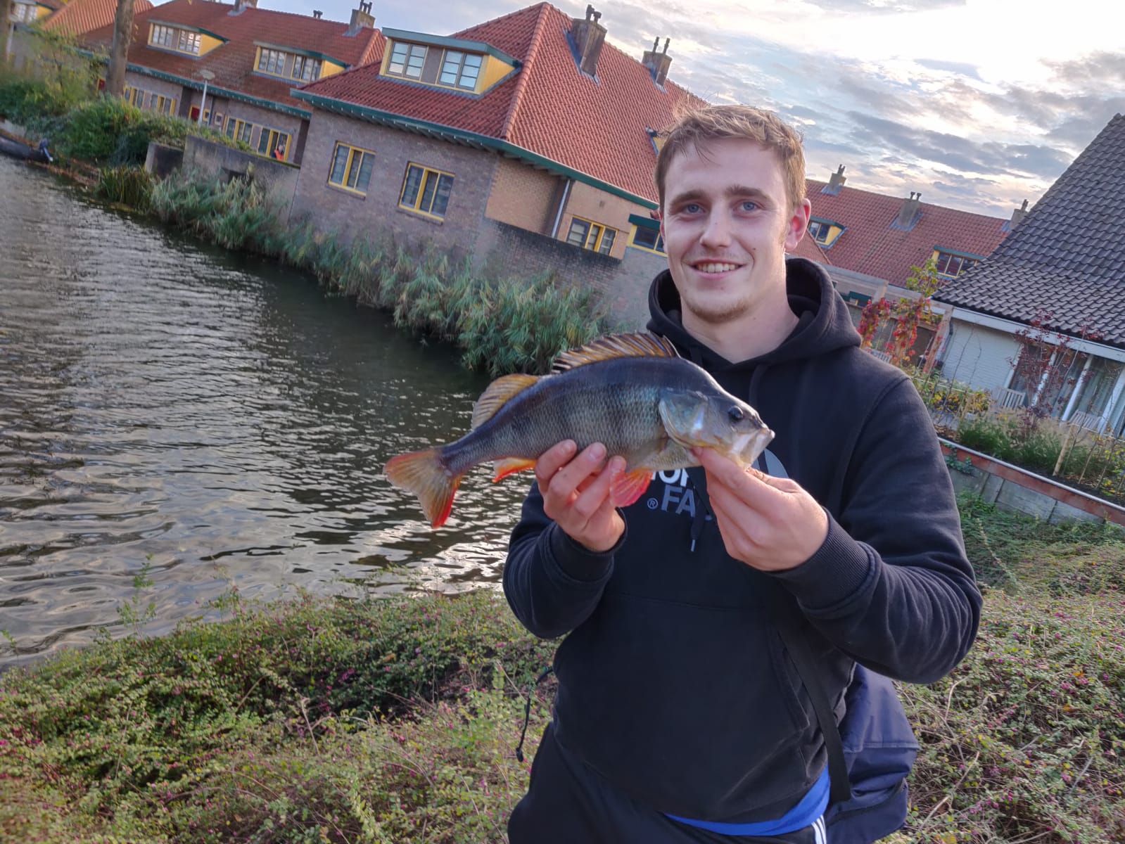 Als een vis in het groen - Baneninhetgroen